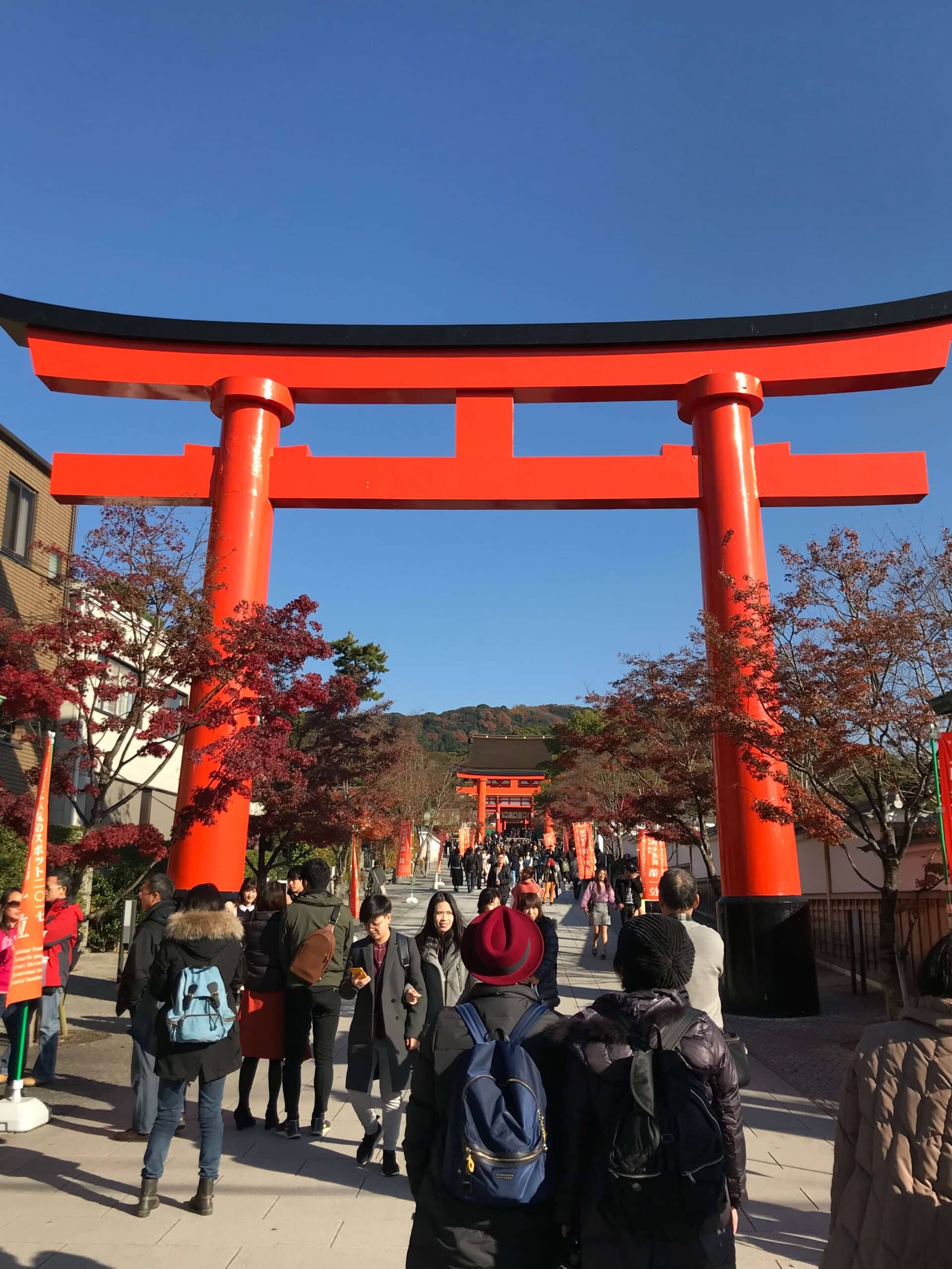 Hiking Mt. Inari: What It’s Like to Summit Kyoto’s Most Iconic Trail