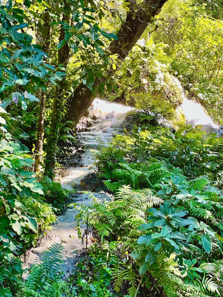 Climbing a Sticky Waterfall at Bua Tong Waterfalls in Chiang Mai
