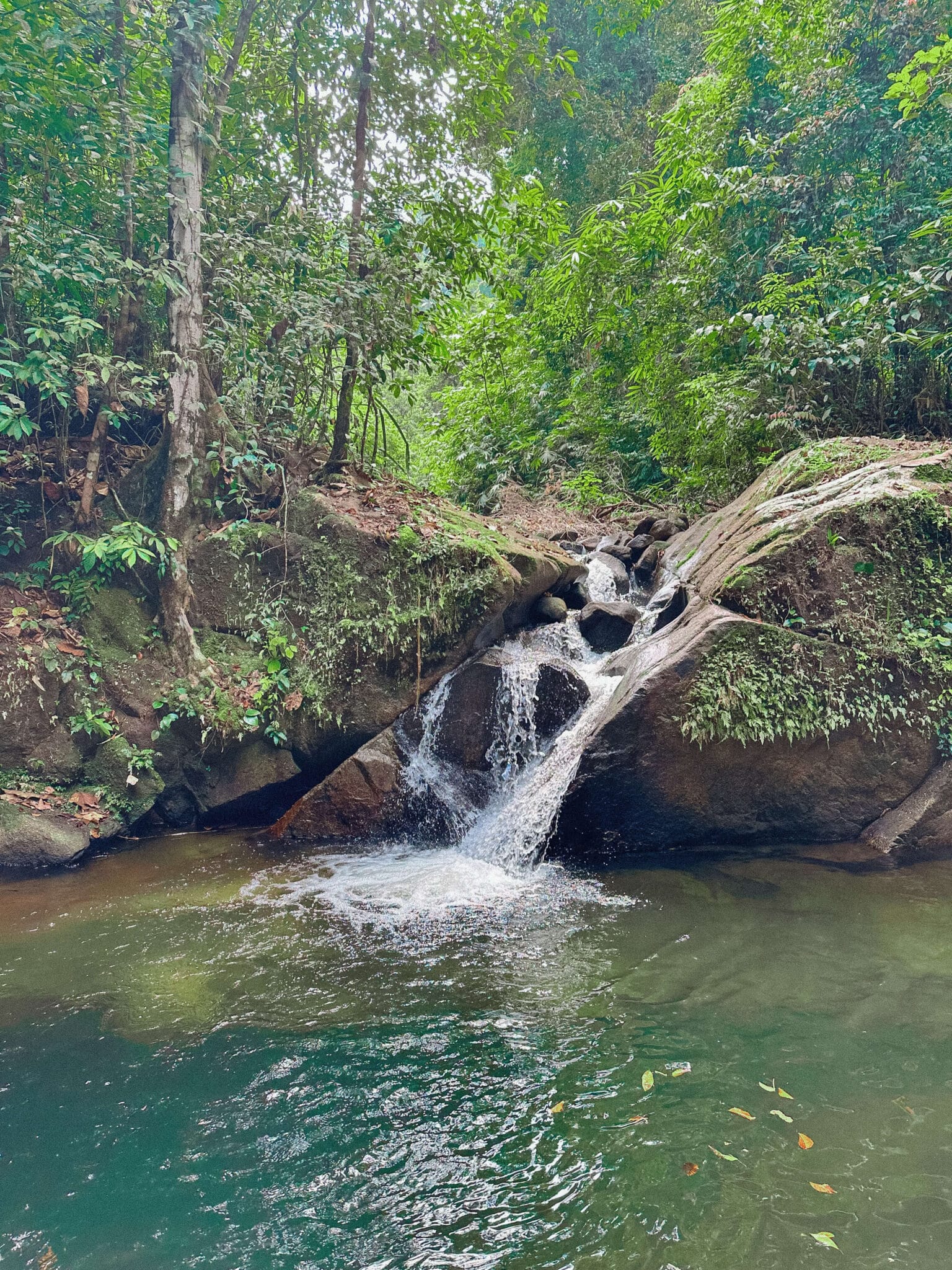 Ton Chong Fa Waterfall | Khao Lak Hiking Guide