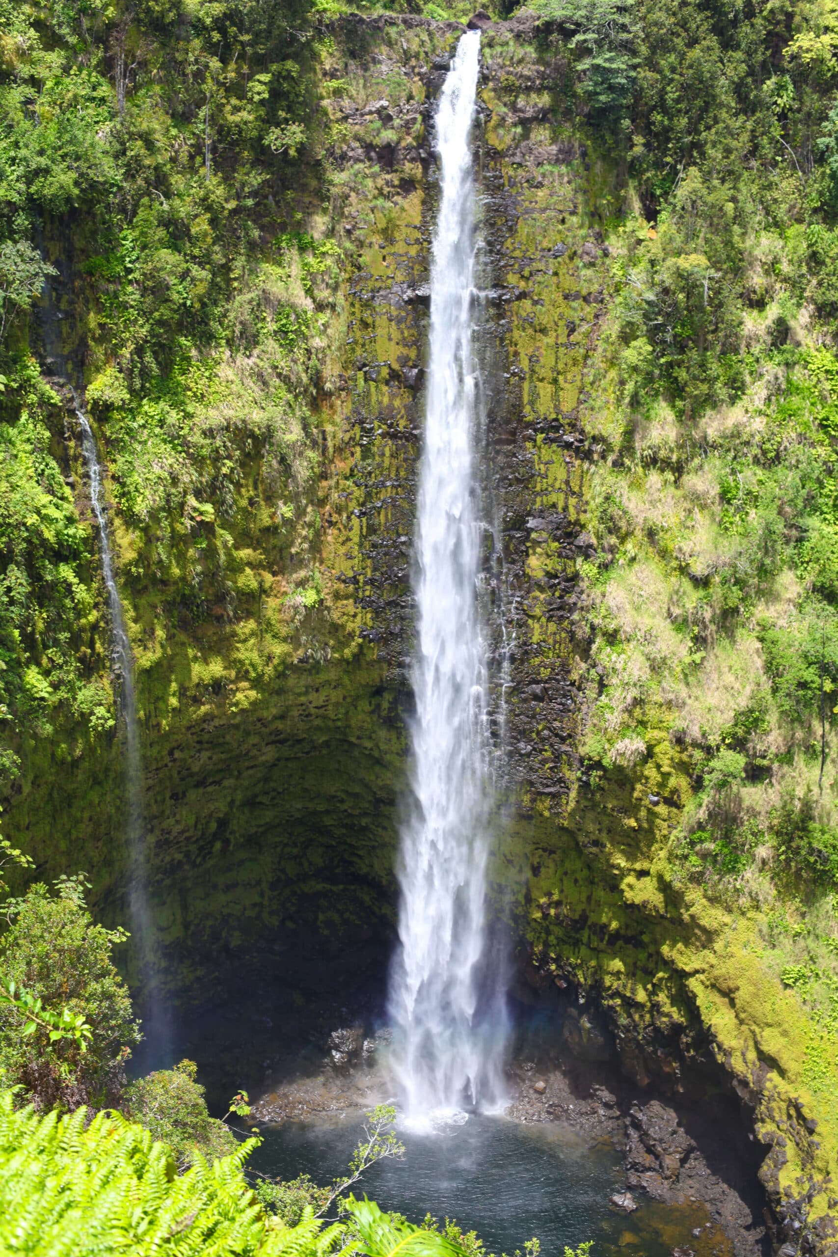 Akaka Falls | A Short, Lush Loop Through Hawaii’s Rainforest