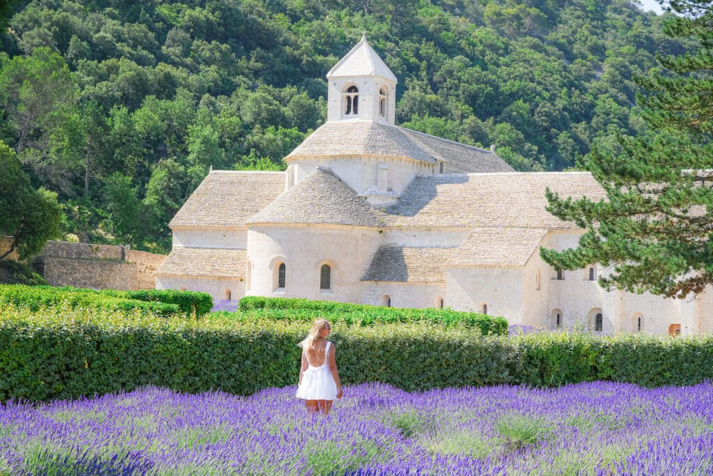 How To Visit Abbaye de Sénanque for Lavender Season