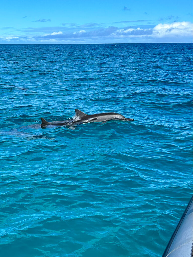 Na Pali Coast by Boat: Raft vs. Catamaran (I Did Both)
